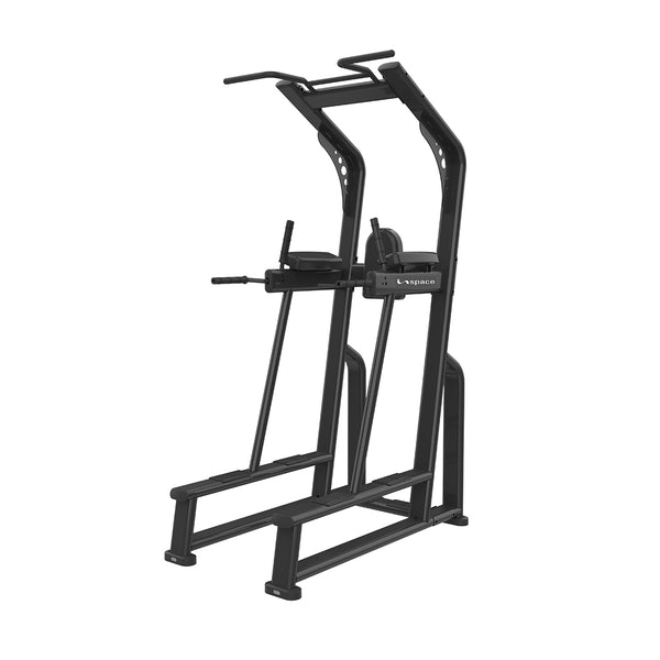 Inspace Premium Strength Chin And Dip Frame – Inspace Fitness